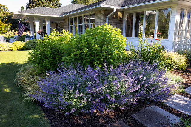 The Princess Anne Garden Club